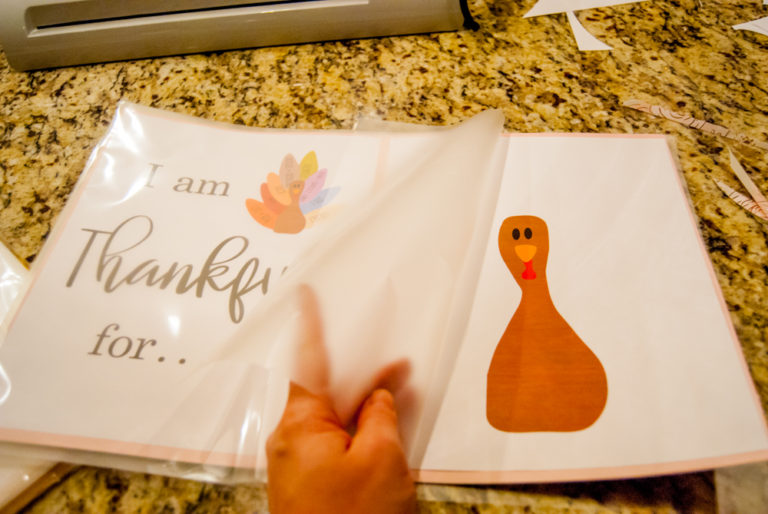 Free Thankful Turkey Thanksgiving Sunday Lesson and Activity – The ...